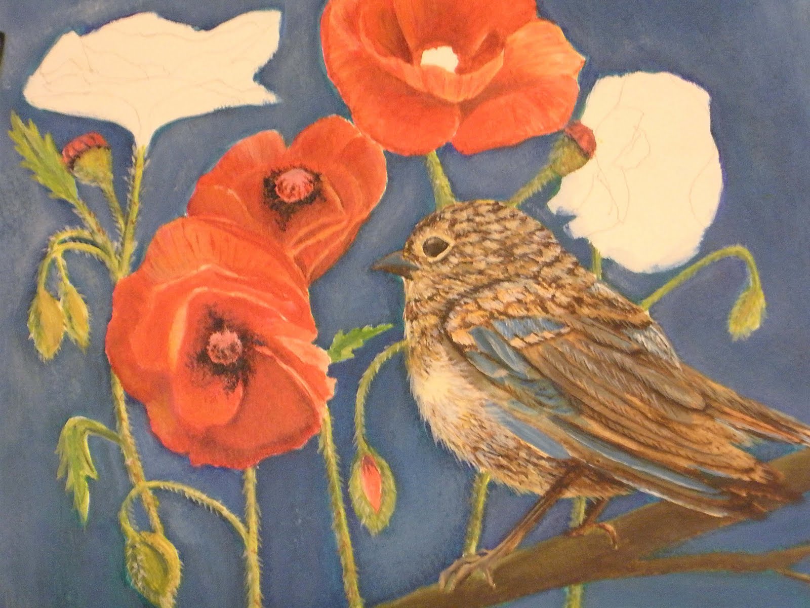 Gifts of Creation Artist Blog: Bird admires Poppies!