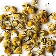 MALINALLI · herbolaria médica: MANZANILLA - chamomile - Matricaria ...