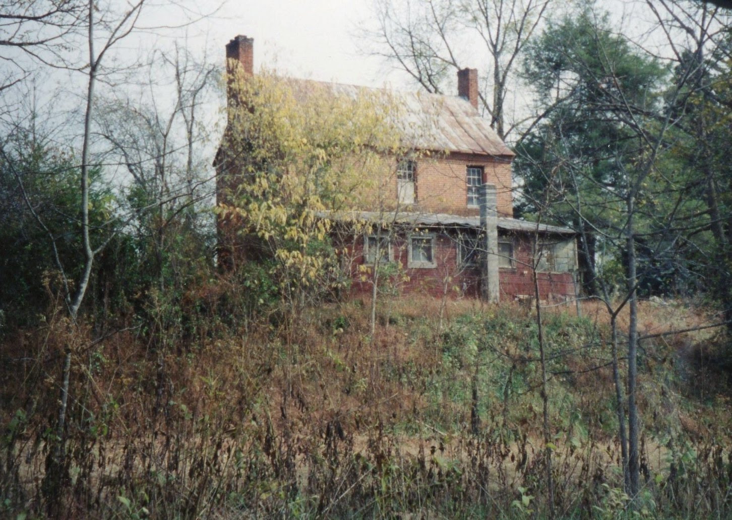 the YAYA tree: THE MCGALLIARDS - CLARISSA CAROLINE MCGALLIARD my ...