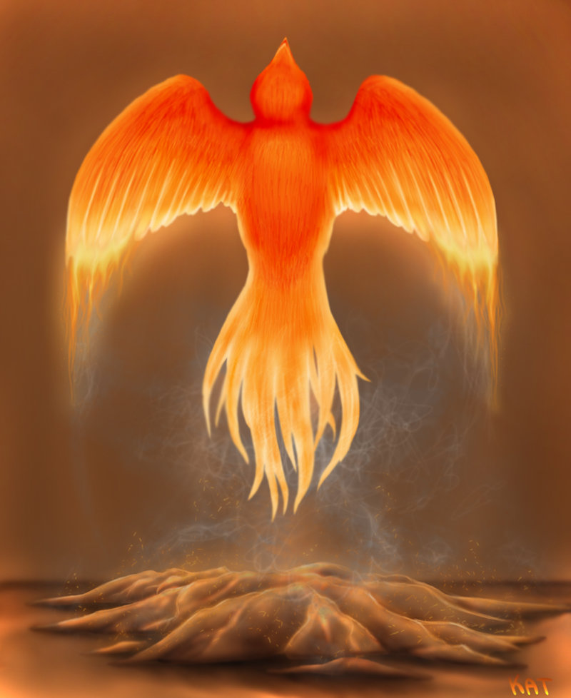 gypsywomanworld: the flight of the phoenix...
