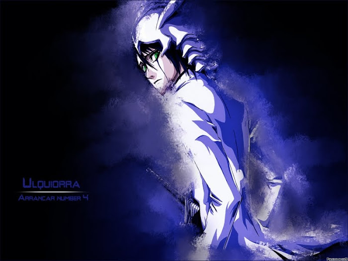 ihyakdetektiveiu: bleach (daftar espada)