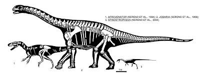 Opiniones de Spinostropheus