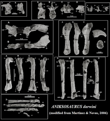 Theropoda: Darwin Day 2009 - 1: Aniksosaurus darwini