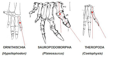 Theropoda: Miti e Leggende Post-moderne sui Theropodi Mesozoici ...