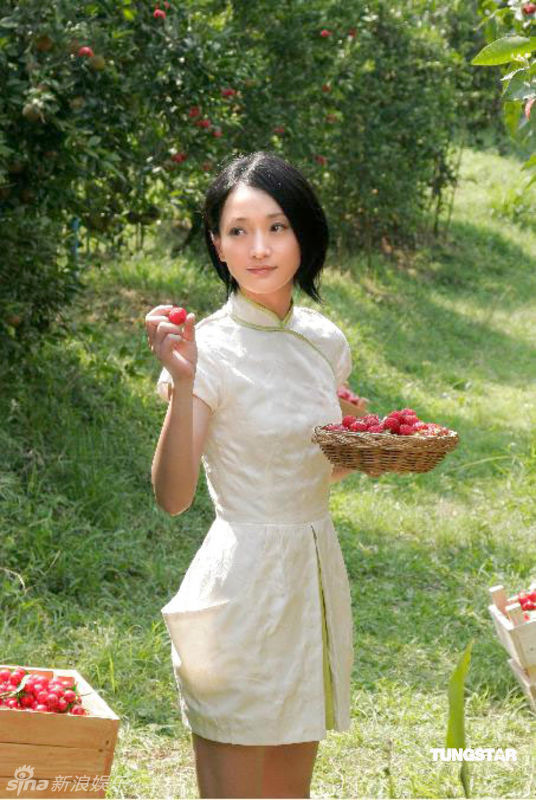 Roast Pork Sliced From A Rusty Cleaver: Louis Koo, Zhou Xun Advert ...