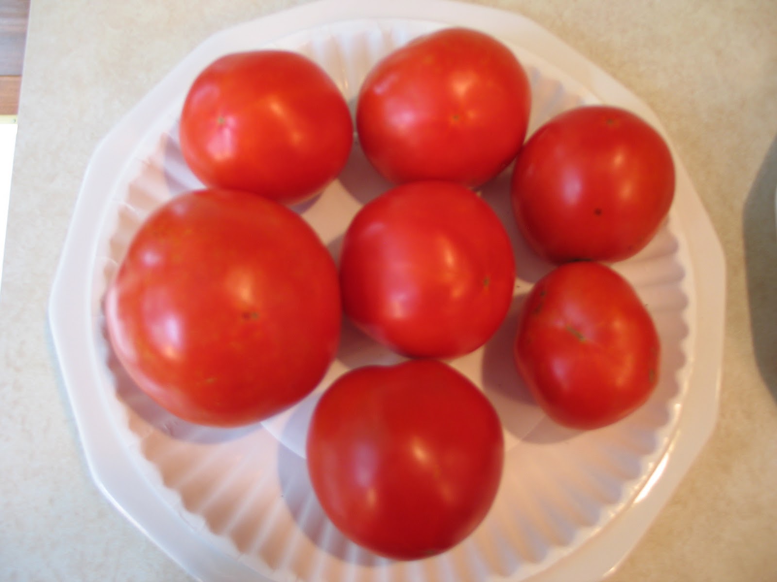 It's All About Purple: My Gardens