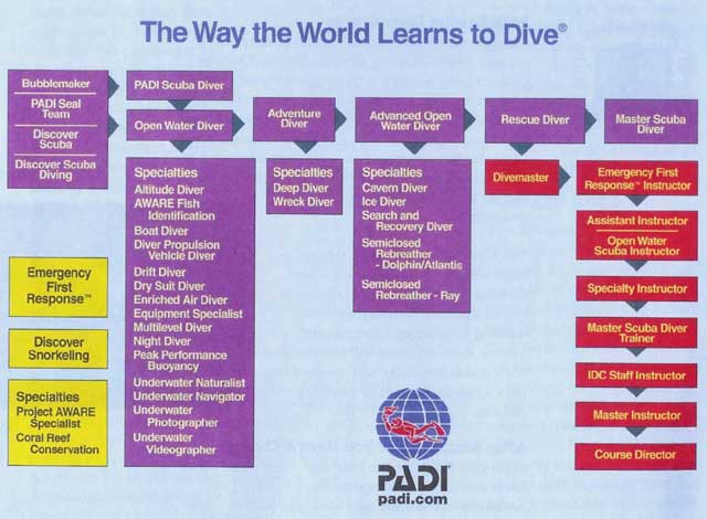 Indonesia Scuba Diving: The Professional Association of Diving ...