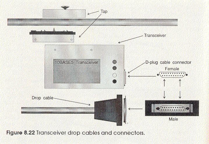 เต้ยฝึกงานคับ