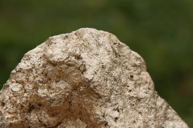 kristina estell: The gilded stone