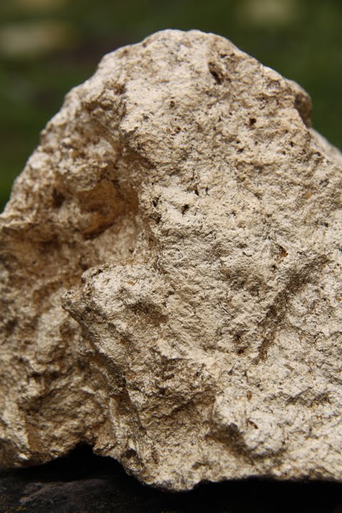 kristina estell: The gilded stone