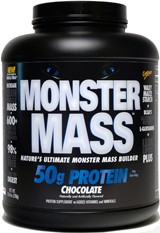 DEX BODY FITNESS: Mass Gainer