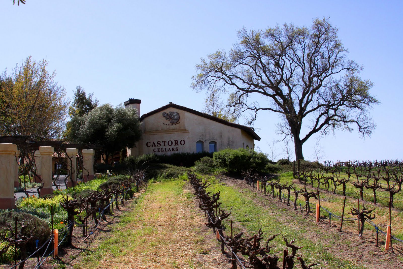 Traveling Chemist: Mini-Vacation in San Luis Obispo and Paso Robles, CA ...