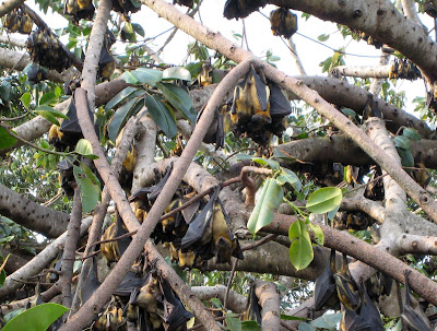 Traveling Chemist: Malongo Base; Cabinda, Angola .......Work, Work and ...