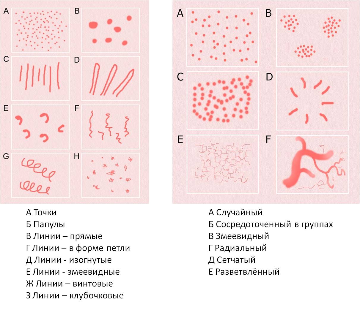 Russian Language Chaos and Clues Algorithm: Russian Language Chaos and ...