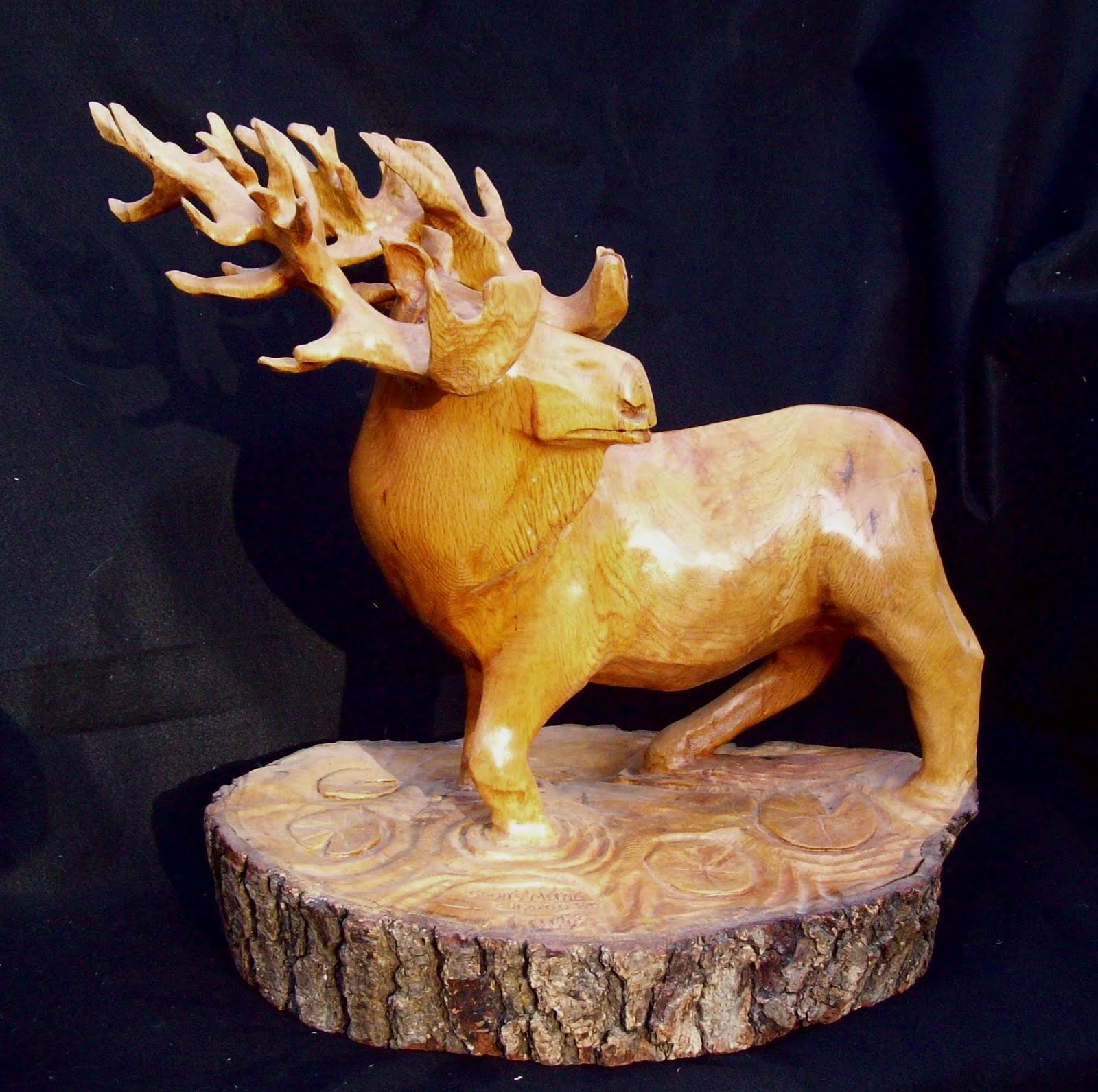 The Midnight Carver: A Closer Look at the Stag Moose