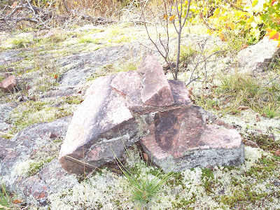 nefaeria: Places I have Loved: Laurier Woods