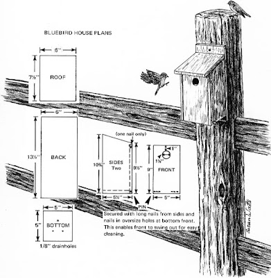 Bowen Birdhouses: Bluebird Nesting Box