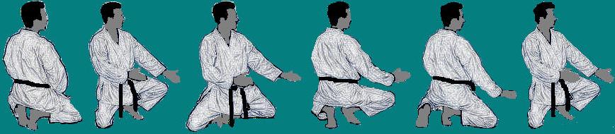 Diario de un practicante de Aikido en Pamplona (Navarra): Shikko