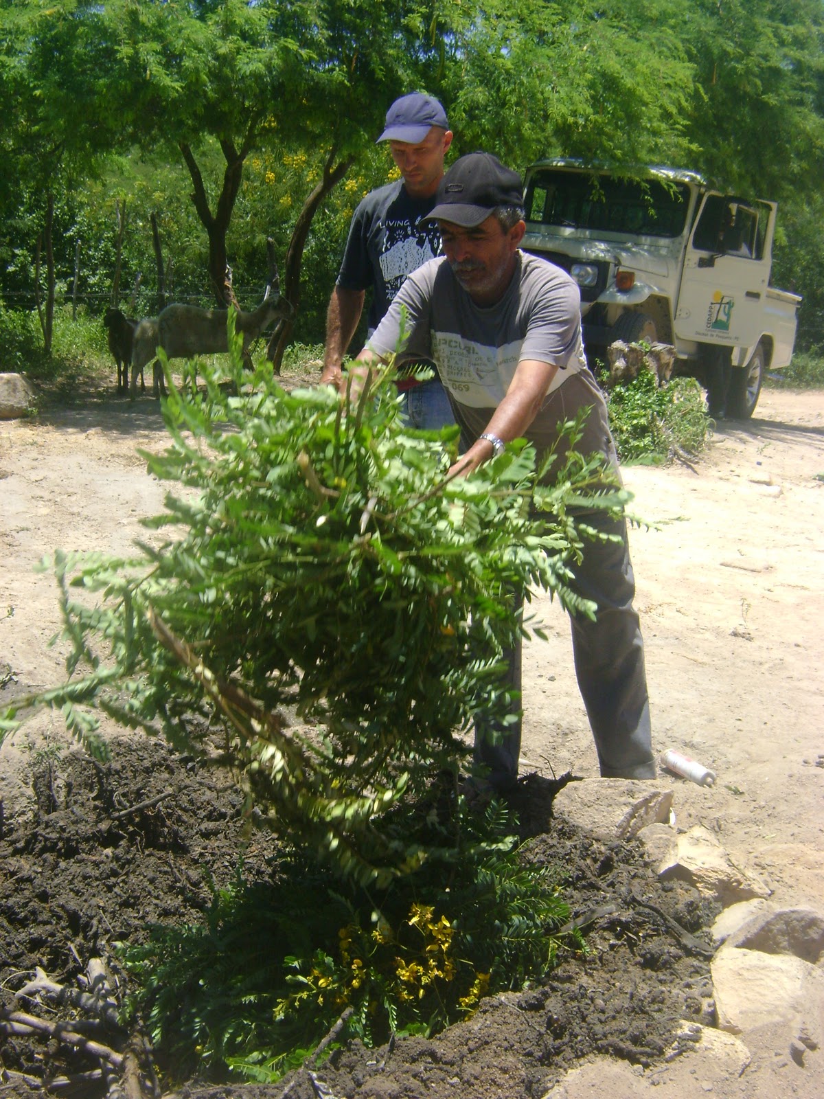 Banheiro Seco ecológico: Compostagem ou desidratação para higienização ...