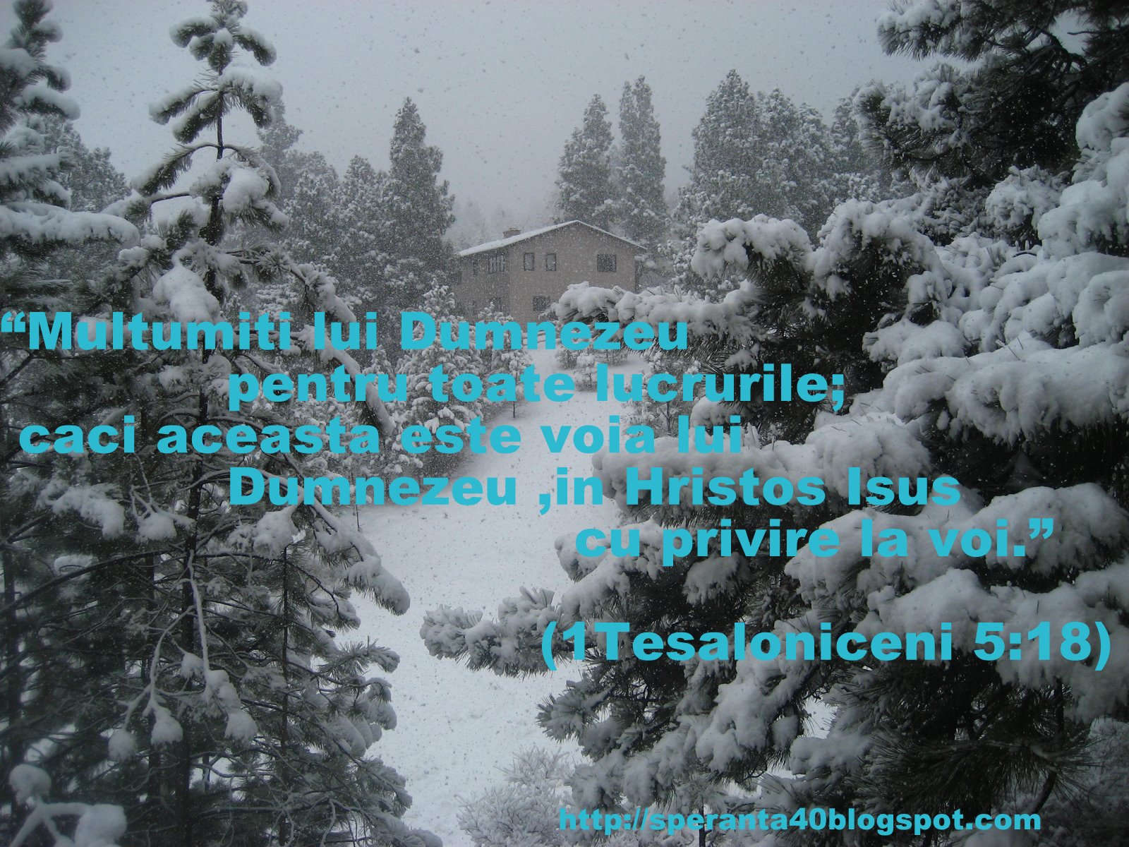 Speranta: MULTUMIRI PENTRU SPINI