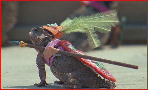 FARK.com: (7708843) Cue pet shop scene from "Pee Wee's Big Adventure ...