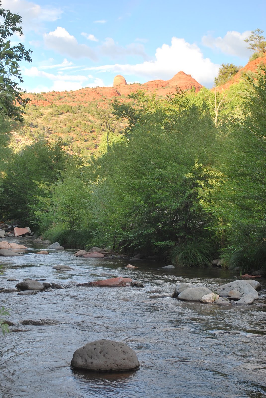 Shardae's Travel and Photographs