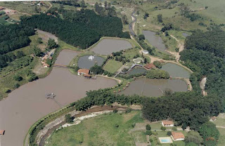Roteiros da Pesca: Pescaria no Castelinho - O Planejamento.