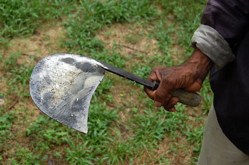 Charlie in Sri Lanka: Toddy Tapping