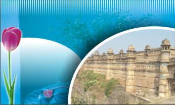 We Design and Print Everything: Visiting Card Designs for Tours and ...