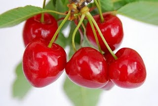 Arshxecool: buah cery