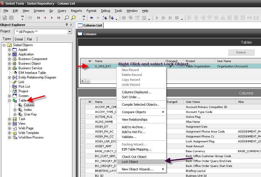 HelloSiebelWorld: How to Create Siebel Like custom Tables (S_*) or ...