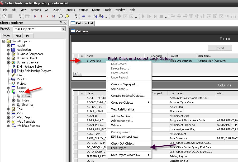 Hellosiebelworld How To Create Siebel Like Custom Tables S Or Column Within Tables Without X