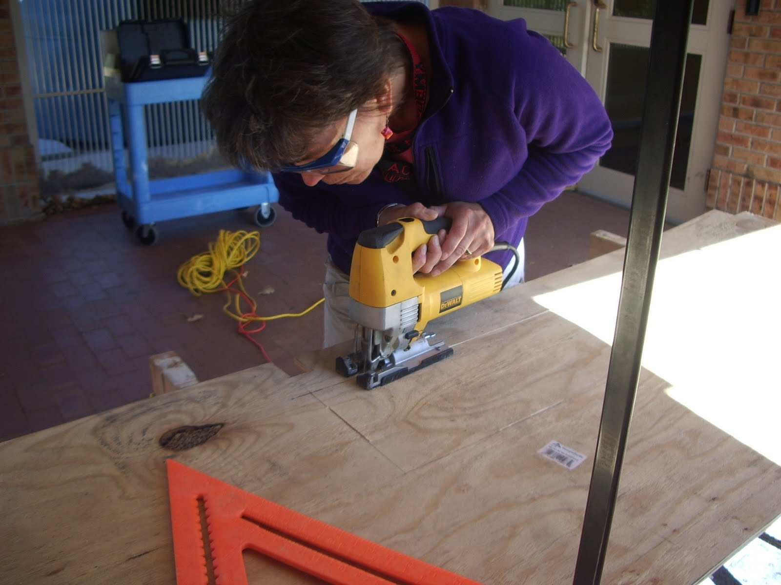 Academy's Spring Chickens: The Chicken Arc begins