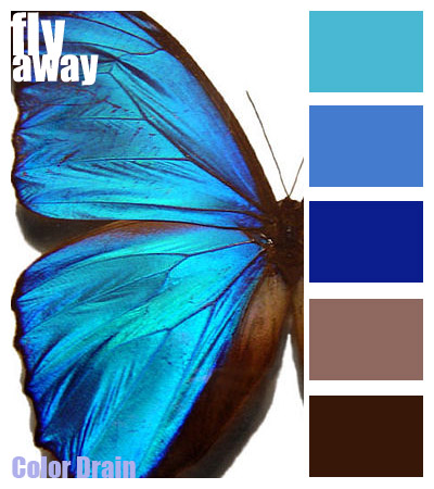 Color Drain: Free Blogger Backgrounds, Wedding Color Schemes, and Color ...