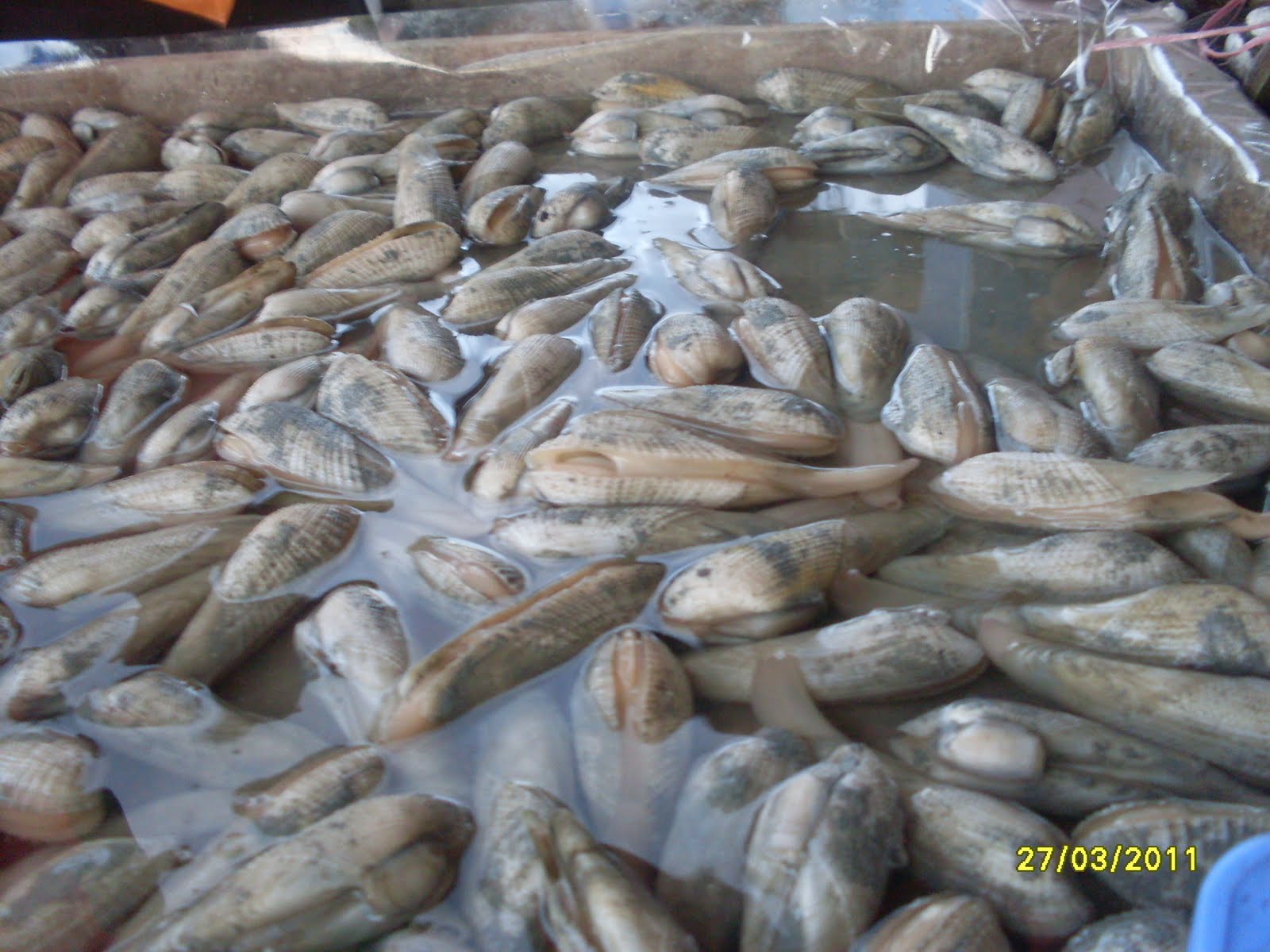 Stats Guy: Lokan - nice to eat