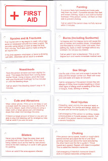 Beehive Messages: Young Women's Camp 2010 - First Aid Cards