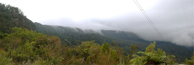 The Nature of Robertson: Body found in burnt-out car - off Mt Murray Road
