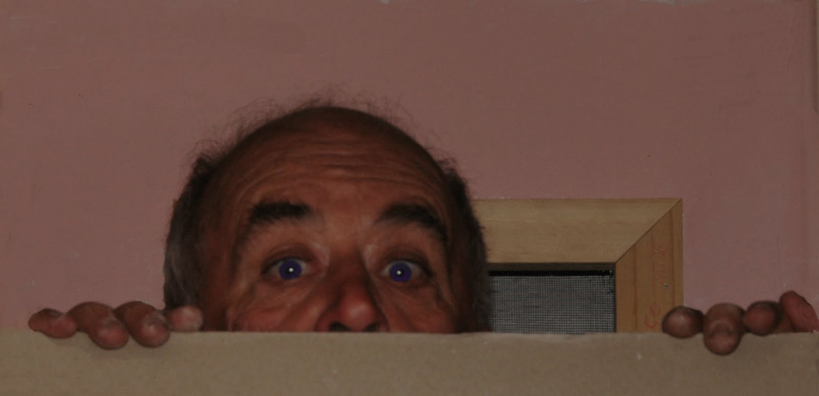 The Nature of Robertson: Foo meets the Bowerbirds