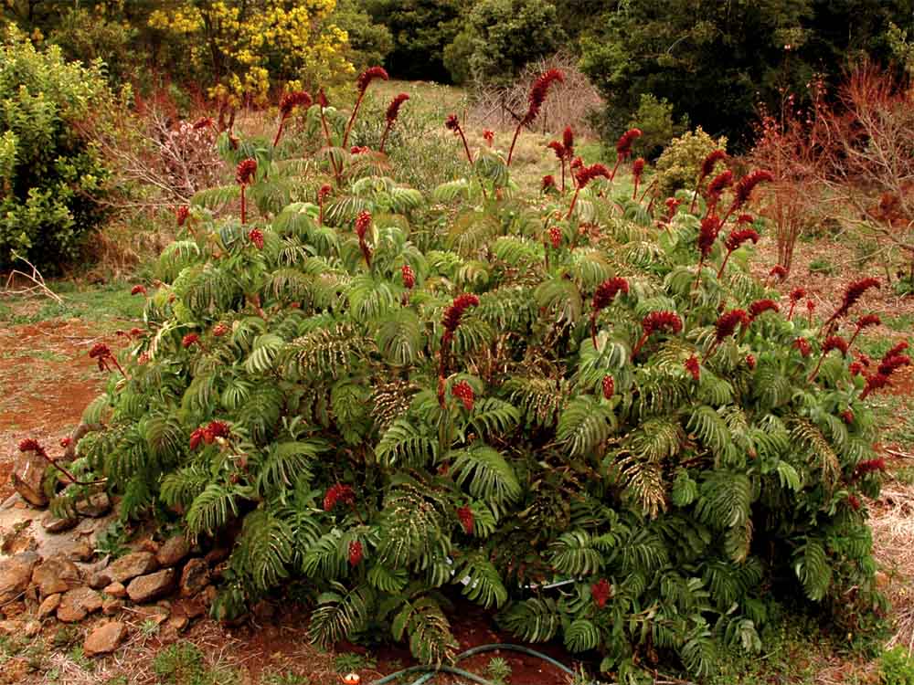 The Nature of Robertson: September 2010