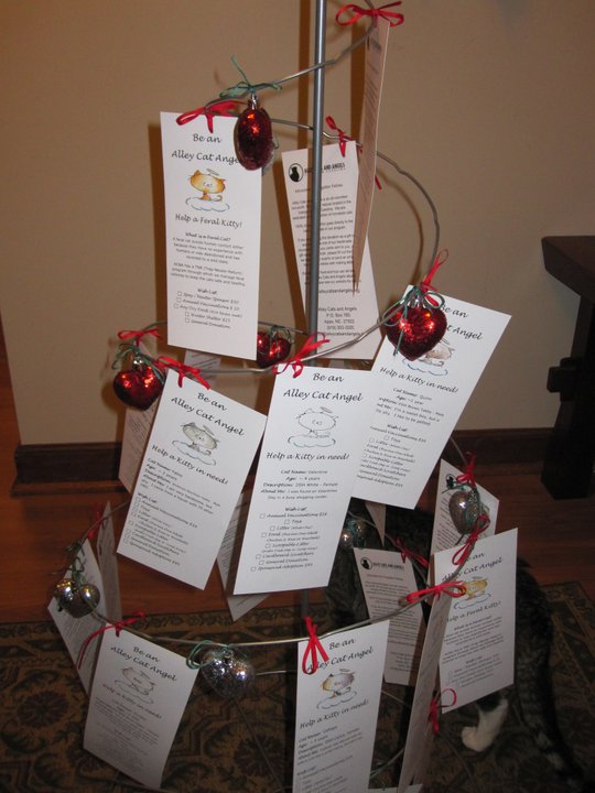 Alley Cats and Angels of NC: Be an "Alley Cat Angel" this Holiday Season