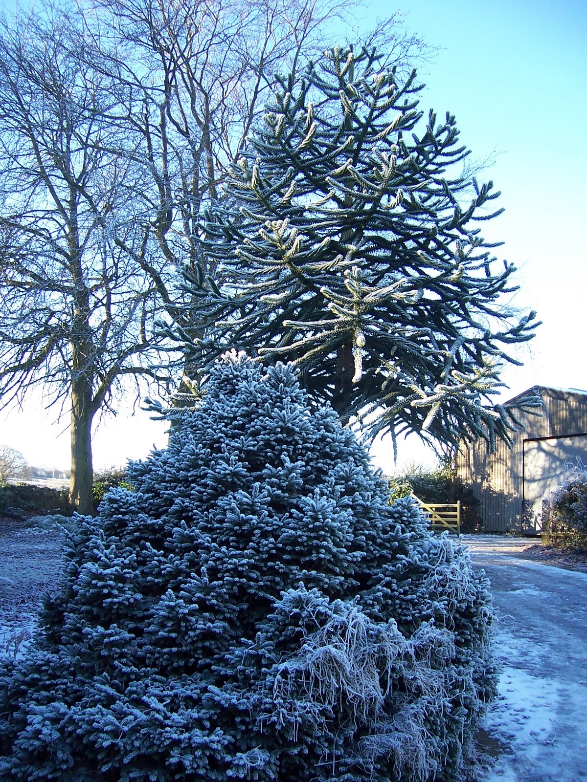 The Archers at The Larches: December 2010