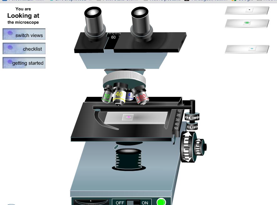 Recursos tic: Microscopio virtual