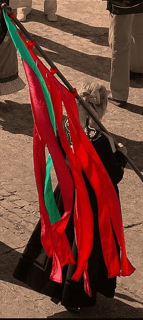 Flag of Zamora, Spain : r/vexillology