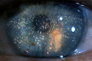 literally geeking: Classic Scene 2: Blade Runner's opening scene: