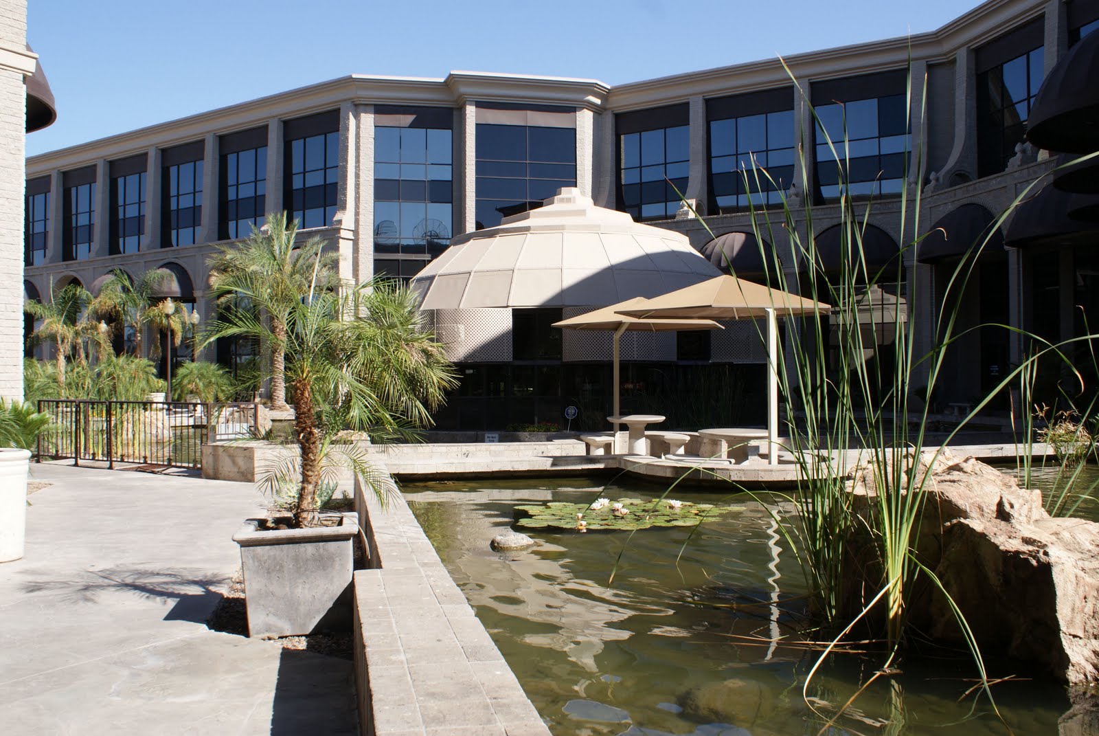 Phoenix Daily Photo: July 2010