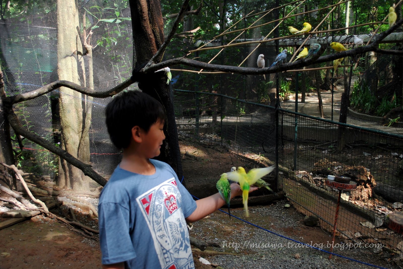 TRAVELOG: Zoobic Safari, Subic Philippines