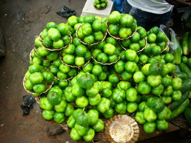 Agric. Products in Lagos Markets.: Article 46: IGBA (Garden Egg)