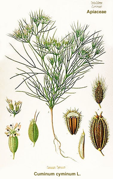 advantagequest - Blog