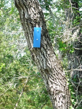 Why In Blue Blazes Is It So Hard To Find the Entrance? - San Marcos ...