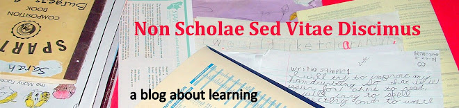 Non Scholae Sed Vitae Discimus: Words and Images